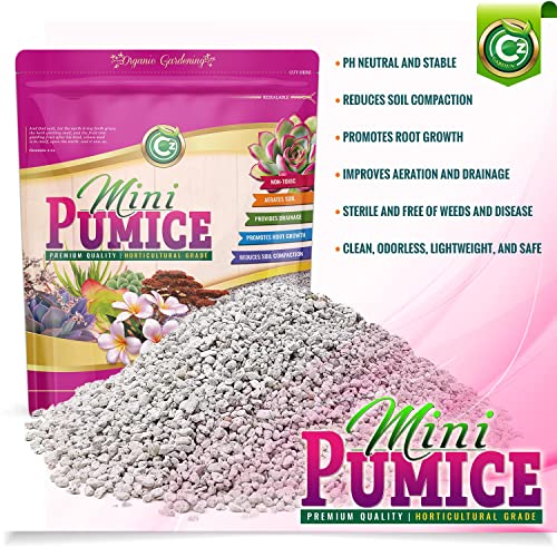 Pumice Stone Grow Media - Made in USA for Bonsai • Succulents • Cactus • Orchids - Horticultural Soil Amendment Additive Conditioner for Indoor and Outdoor Plants and Organic Gardens