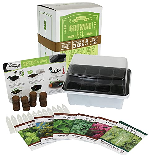 Culinary Indoor Herb Garden Starter Kit | Basic Herb Seeds | 6 Non-GMO Varieties | Grow Cooking Herbs & Spices | Seeds: Basil, Dill, Parsley, Chives, Mustard, Oregano