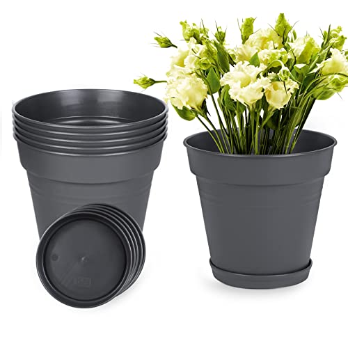 Quarut Plant Pots Set of 6 Pack 6.5 Inch,Plastic Planters with Drainage Holes and Saucer,Modern Decorative Flower Pots Used for Indoor and Outdoor,Yard,Garden,Home, Office Etc All Plants.【Dark Grey】