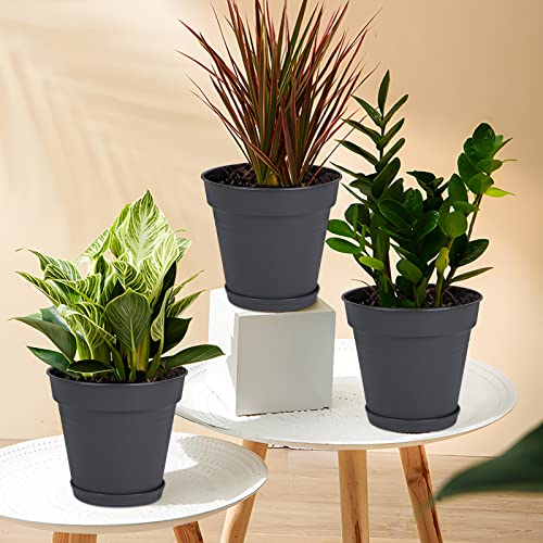 Quarut Plant Pots Set of 6 Pack 6.5 Inch,Plastic Planters with Drainage Holes and Saucer,Modern Decorative Flower Pots Used for Indoor and Outdoor,Yard,Garden,Home, Office Etc All Plants.【Dark Grey】