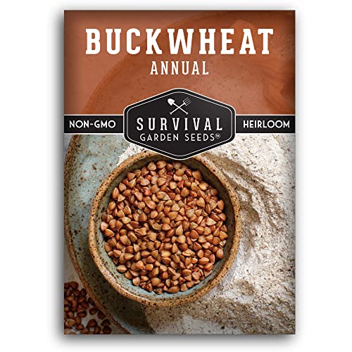 Survival Garden Seeds - Buckwheat Seed for Planting - Packet with Instructions to Plant and Grow a Cover Crop and Buckwheat Plants in Your Home Vegetable Garden - Non-GMO Heirloom Variety