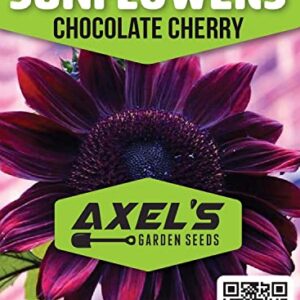 Sunflower Seeds for Planting - Grow Purple Chocolate Cherry Sun Flowers in Your Garden - 25 Non GMO Heirloom Seeds - Full Planting Instructions for Easy to Grow - Great Gardening Gifts (2 Packets)