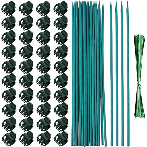 Jetec 40 Pieces Orchid Clips Plastic Garden Plant Clips with 20 Pieces Plant Support Stakes, 20 Pieces Metallic Twist Ties for Supporting Stems Vines Stalks Grow Upright (30 cm)