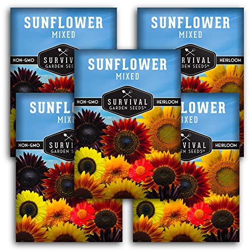 Survival Garden Seeds - Mix of Popular Sunflower Seeds for Planting - 5 Packs with Instructions to Grow Beautiful Flowers in Your Home Vegetable or Flower Garden - Non-GMO Heirloom Varieties