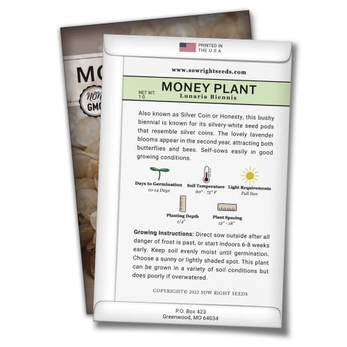 Sow Right Seeds - Money Plant Seeds - Honesty or Silver Coin Plant - Non-GMO Heirloom Seeds - Indoor or Outdoor - Full Instructions for Planting and Growing a Flower Garden - Great Gardening Gift