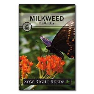 Sow Right Seeds - Milkweed Seed Collection; Varieties Included: Butterfly, Common, and Showy Milkweed, Attracts Monarch and Other Butterflies to Your Garden; Non-GMO Heirloom Seeds;