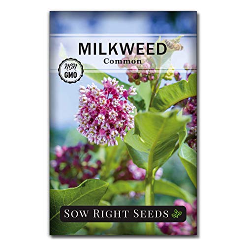 Sow Right Seeds - Milkweed Seed Collection; Varieties Included: Butterfly, Common, and Showy Milkweed, Attracts Monarch and Other Butterflies to Your Garden; Non-GMO Heirloom Seeds;