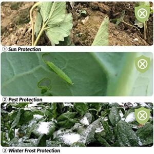 LOVE STORY Plant Covers Freeze Protection 6x25FT 1.0oz Frost Cloth Blanket Floating Row Cover Garden Fabric for Winter Outdoor Plants Vegetables and Sun Pest Protection