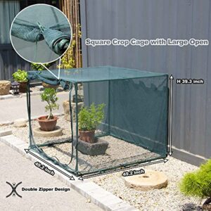 Square 4'x4' Netting Cover 3.3FT Tall Crop Cage Pest Guard Cover for Vegetables Fruits Durable Plant Garden Net with 4 Stakes