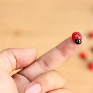 100 pcs Wooden Ladybug Garden Stones - Decorative Outdoor Ornaments - Garden Decoration for Vegatable and Flower Beds