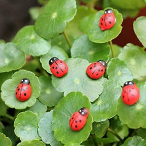 100 pcs Wooden Ladybug Garden Stones - Decorative Outdoor Ornaments - Garden Decoration for Vegatable and Flower Beds