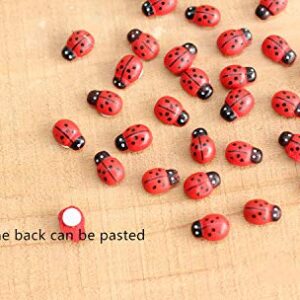 100 pcs Wooden Ladybug Garden Stones - Decorative Outdoor Ornaments - Garden Decoration for Vegatable and Flower Beds