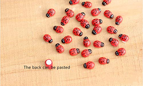 100 pcs Wooden Ladybug Garden Stones - Decorative Outdoor Ornaments - Garden Decoration for Vegatable and Flower Beds