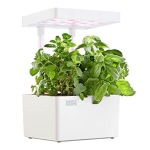 back to the roots hydroponic grow kit, indoor garden (matte white), organic seeds included, gardening gift, everything included