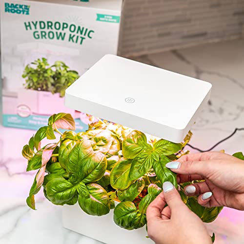 Back to the Roots Hydroponic Grow Kit, Indoor Garden (Matte White), Organic Seeds Included, Gardening Gift, Everything Included