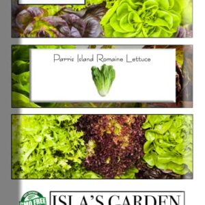 "Parris Island" Romaine Lettuce Seeds for Planting, 1000+ Heirloom Seeds Per Packet, (Isla's Garden Seeds), Non GMO, Botanical Name: Lactuca Sativa, Great Home Garden Gift