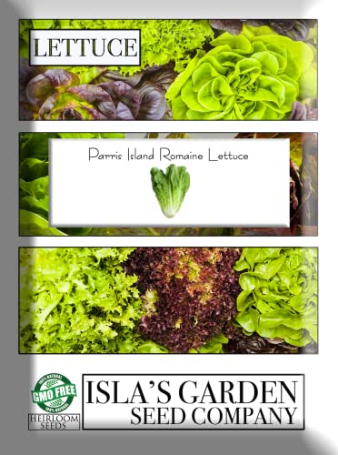 "Parris Island" Romaine Lettuce Seeds for Planting, 1000+ Heirloom Seeds Per Packet, (Isla's Garden Seeds), Non GMO, Botanical Name: Lactuca Sativa, Great Home Garden Gift