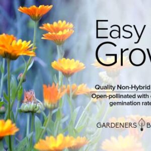 Calendula Seeds for Planting (Pacific Beauty Mix) - Annual Flower Seeds Great for Cut Flower Gardens, Herbal Tea and for Medicinal Purposes, Open Pollinated Flower Seed by Gardeners Basics