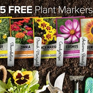 Flower Garden Seeds for Planting Outdoors Flower Seeds (5 Variety Pack) Daisy, Marigold, Cosmos, Sunflower, Zinnia Varieties for Bees, Pollinators Wildflower Seed by Gardeners Basics