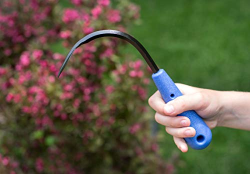 CobraHead® Mini Weeder & Cultivator Garden Hand Tool - Forged Steel Blade - Recycled Plastic Handle - Ergonomically Designed for Digging, Edging & Planting - Perfect for Small Gardening Jobs