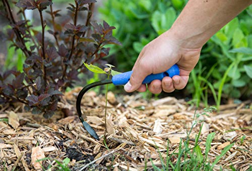 CobraHead® Mini Weeder & Cultivator Garden Hand Tool - Forged Steel Blade - Recycled Plastic Handle - Ergonomically Designed for Digging, Edging & Planting - Perfect for Small Gardening Jobs