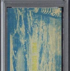 1969 O-Pee-Chee #228 James Norris Trophy Phil Esposito Yellow Name PSA 9 RARE! - Unsigned Hockey Cards