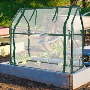 Gardzen Mini Greenhouse Heavy Duty Portable Green House, Clear Tent Indoor or Outdoor for Plants 36.2”(L) x18.9”(W) x33.3”(H)