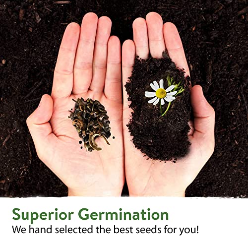 90,000+ Wildflower Seeds - Bulk Perennial Wild Flower Seeds Mix - 3oz Flower Garden Seeds for Attracting Bees, Birds & Butterflies - 24 Variety Plant Seeds for Planting Outdoor Garden