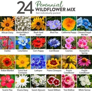 90,000+ Wildflower Seeds - Bulk Perennial Wild Flower Seeds Mix - 3oz Flower Garden Seeds for Attracting Bees, Birds & Butterflies - 24 Variety Plant Seeds for Planting Outdoor Garden