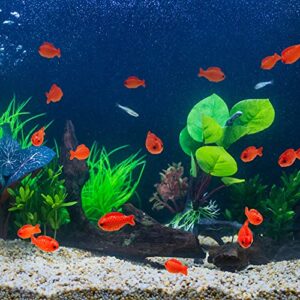 Yookeer Small Resin Red Goldfish Mini Goldfish Figurines Resin Red Fish Toy Set Sea Animals Toys Fairy Garden Accessories Miniature for Home Decor DIY Crafts Miniature Garden Accessories(36 Pieces)