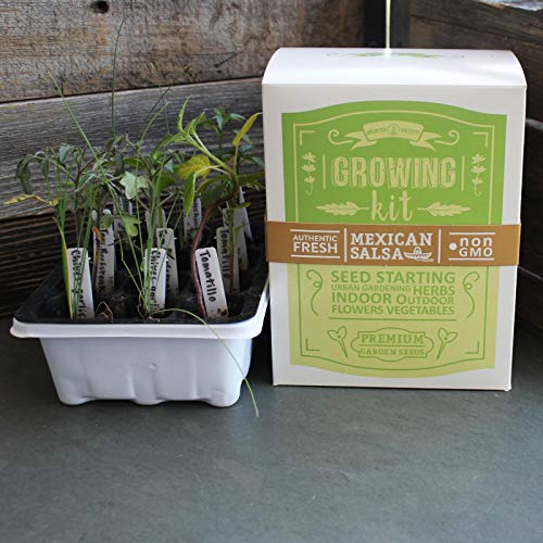 Salad & Vegetable Garden Seed Starter Kit | Deluxe | 12 Non-GMO Varieties | Gardening Starter Kit | Seeds: Cucumber, Sweet Pepper, Tomato, Chives, Lettuce, Carrot & More