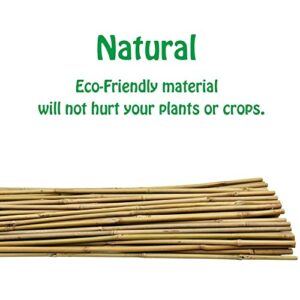 Mininfa Natural Bamboo Stakes 3 Feet, Eco-Friendly Garden Stakes, Plant Stakes Supports Climbing for Tomatoes, Trees, Beans, 25 Pack