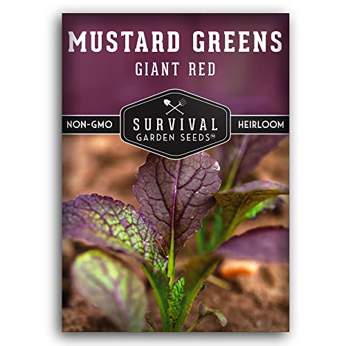 Survival Garden Seeds - Giant Red Mustard Greens Seed for Planting - Packet with Instructions to Plant and Grow Spicy Brassica Juncea Leaves in Your Home Vegetable Garden - Non-GMO Heirloom Variety