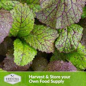 Survival Garden Seeds - Giant Red Mustard Greens Seed for Planting - Packet with Instructions to Plant and Grow Spicy Brassica Juncea Leaves in Your Home Vegetable Garden - Non-GMO Heirloom Variety