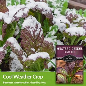 Survival Garden Seeds - Giant Red Mustard Greens Seed for Planting - Packet with Instructions to Plant and Grow Spicy Brassica Juncea Leaves in Your Home Vegetable Garden - Non-GMO Heirloom Variety