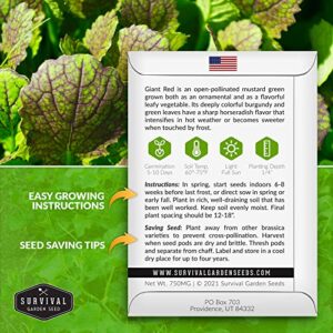 Survival Garden Seeds - Giant Red Mustard Greens Seed for Planting - Packet with Instructions to Plant and Grow Spicy Brassica Juncea Leaves in Your Home Vegetable Garden - Non-GMO Heirloom Variety