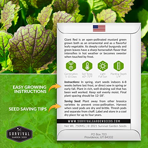 Survival Garden Seeds - Giant Red Mustard Greens Seed for Planting - Packet with Instructions to Plant and Grow Spicy Brassica Juncea Leaves in Your Home Vegetable Garden - Non-GMO Heirloom Variety