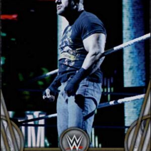 2018 Topps Legends of WWE #70 Triple H Wrestling Trading Card