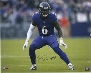 patrick queen baltimore ravens autographed 16″ x 20″ purple back pedal photograph – autographed nfl photos