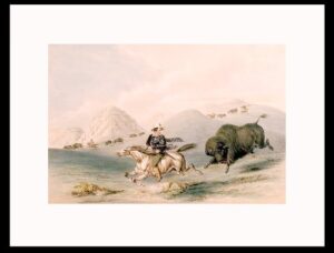 [buffalo hunt, chasing back]