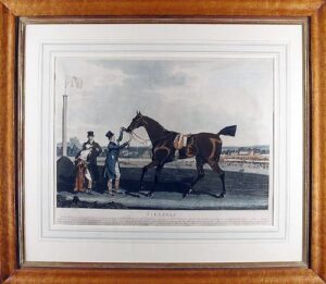 tiresias was bred by his grace the duke of portland in 1816 was got by soothsayer out of sledge. at epsom he won the derby stakes beating 15 others among whom were sultan, euphrates, the dominic, c