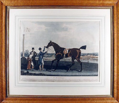 Tiresias Was bred by His Grace the Duke of Portland in 1816 was got by Soothsayer out of Sledge. At Epsom he won the Derby Stakes beating 15 others among whom were Sultan, Euphrates, The Dominic, c