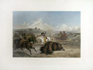 indians hunting the bison