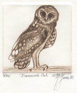 burrowing owl