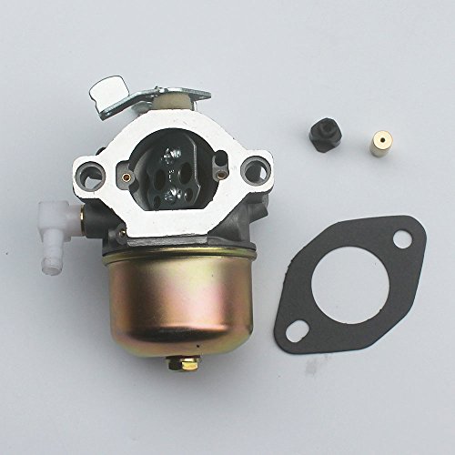 kipa Carburetor for Briggs & Stratton 497581 495782 494894 495784 494881 495778 494883 698171 697594 692684 LMT91 LMT-91 LMT 91 Lawn Boy LT10 LT12.5 Toro 10-32XL 71140 71200 Mower with Gasket