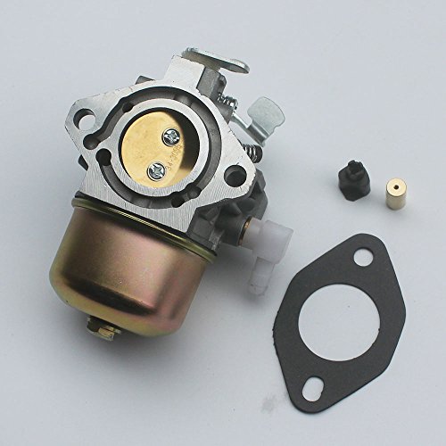 kipa Carburetor for Briggs & Stratton 497581 495782 494894 495784 494881 495778 494883 698171 697594 692684 LMT91 LMT-91 LMT 91 Lawn Boy LT10 LT12.5 Toro 10-32XL 71140 71200 Mower with Gasket