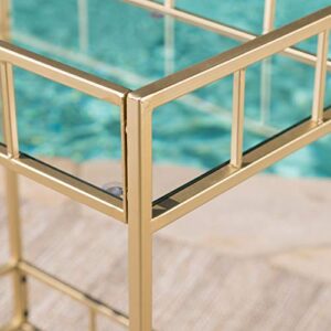 Christopher Knight Home Alice Indoor/Outdoor Industrial Modern Iron and Glass Bar Cart, Gold