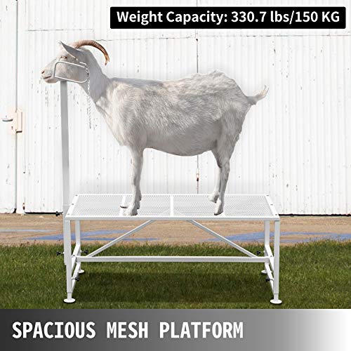 Happybuy Livestock Stand 51x23 inches, Trimming Stand with Straight Head Piece, Goat Trimming Stand Metal Frame Sheep Shearing Stand Livestock Trimming Stands