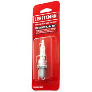 Craftsman CMXGZAM250017 Walk and Ride RC12YC Spark Plug, Black