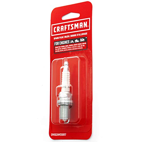 Craftsman CMXGZAM250017 Walk and Ride RC12YC Spark Plug, Black